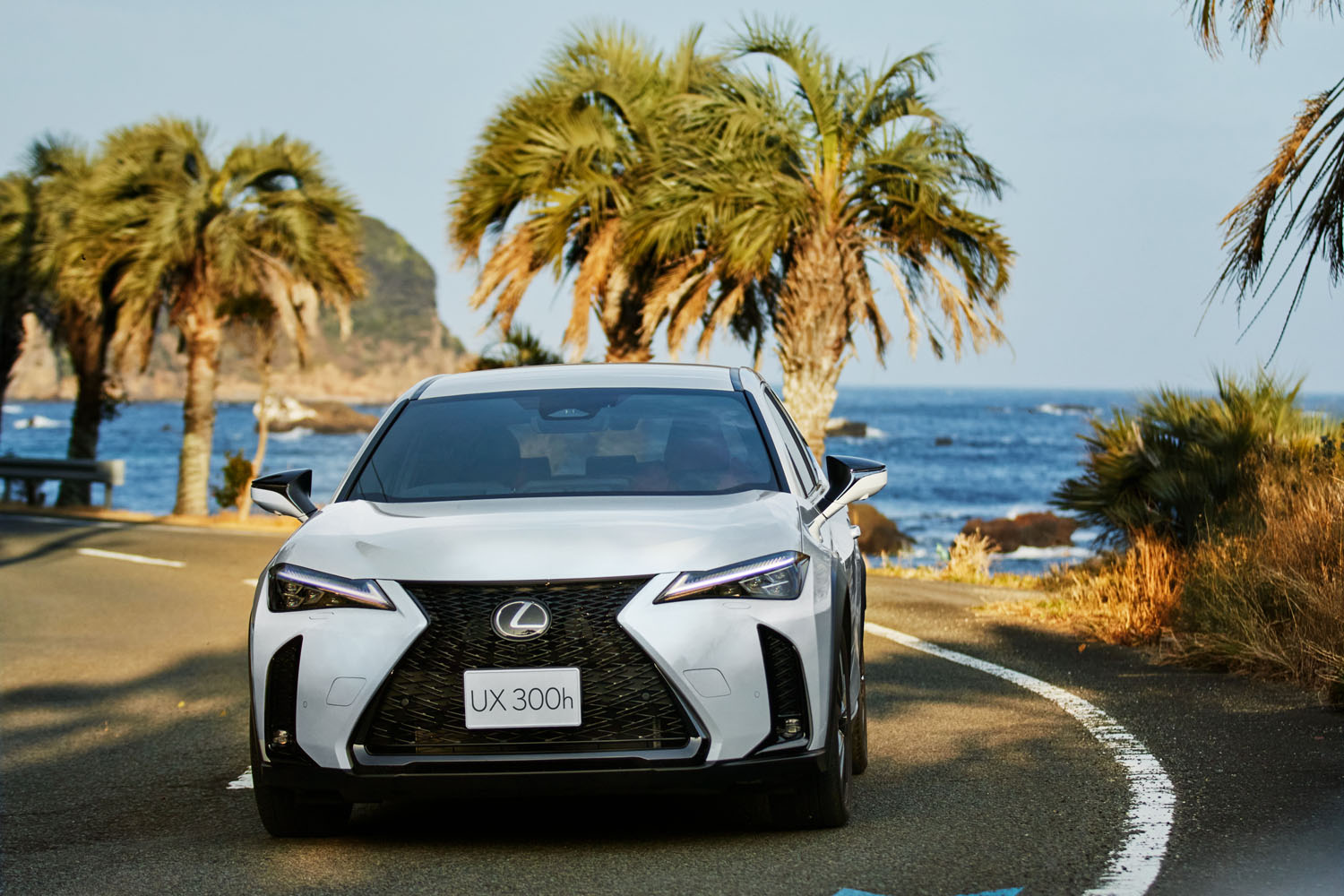 改良型「レクサスUX300h」発売 より上質なインテリアを演出 【ニュース】 の画像2枚 - webCG
