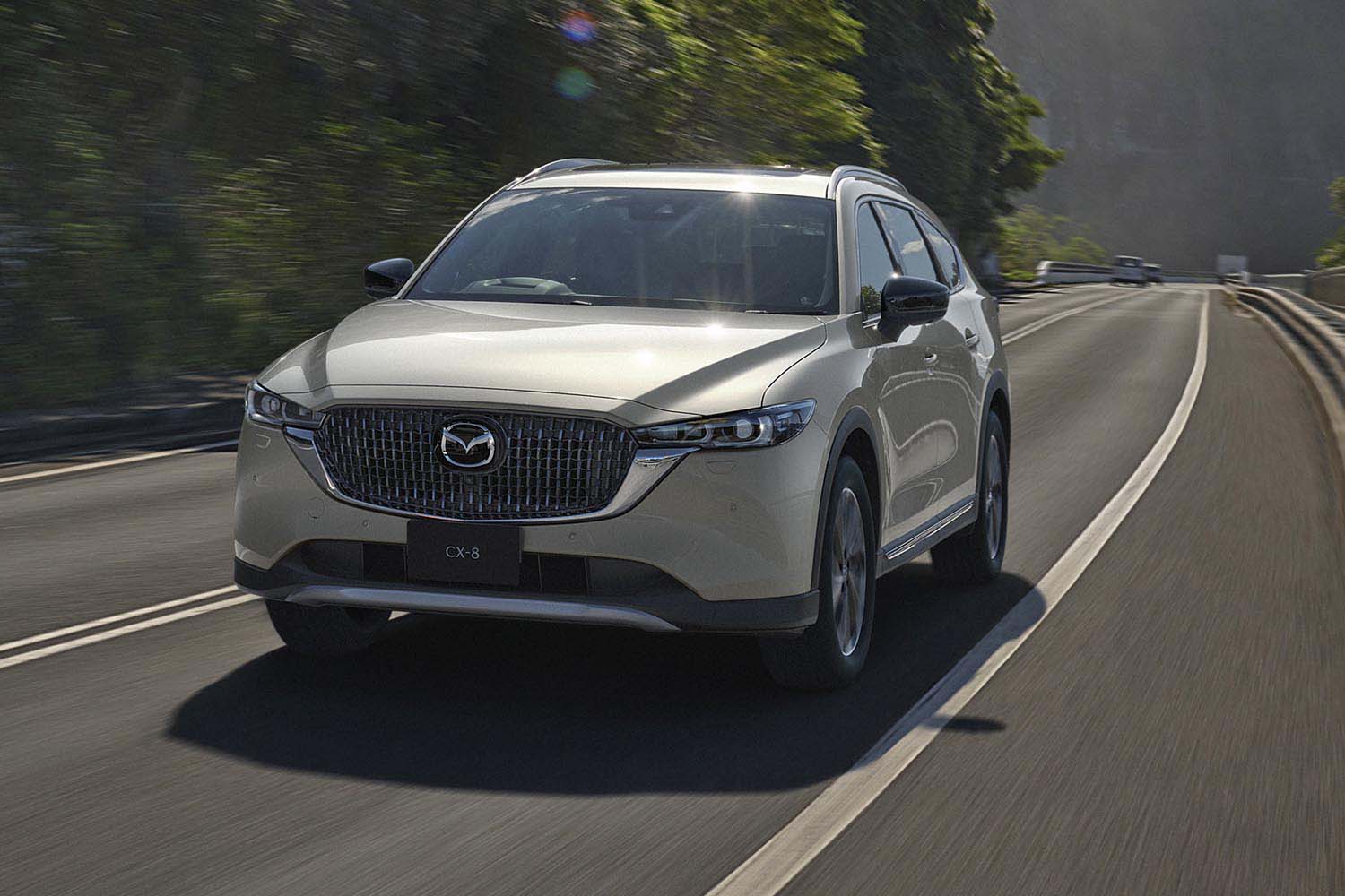 2年ぶりに大幅改良 「マツダCX-8」はミニバンに勝るファミリーカーか？ - webCG